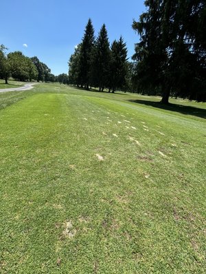 TANNENHAUF GOLF CLUB - Updated September 2025 - 10 Photos - 11411 ...