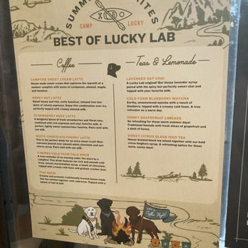 LUCKY LAB COFFEE - Updated March 2025 - 339 Photos & 283 Reviews - 2421 ...