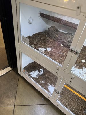 ZOO CREATURES PET STORE - Updated December 2025 - 83 Photos & 70 ...