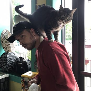 URBAN TAILS PET SUPPLY - Updated February 2025 - 63 Photos & 70 Reviews ...