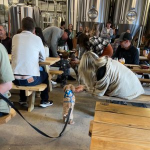 KANE BREWING - 260 Photos & 167 Reviews - 1750 Bloomsbury Ave, Ocean ...
