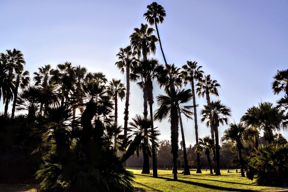 LACY PARK - Updated May 2024 - 718 Photos & 308 Reviews - 1485 Virginia ...