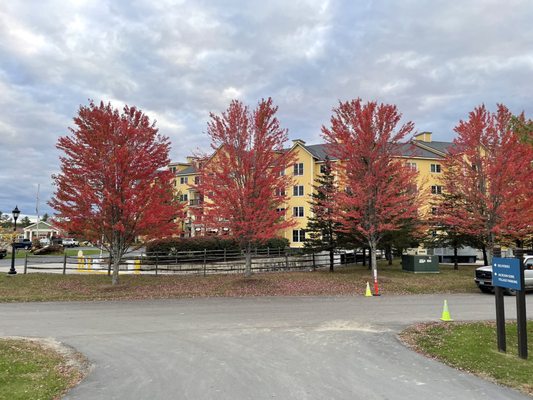 JACKSON GORE INN - Updated December 2024 - 58 Photos & 46 Reviews - 111 ...