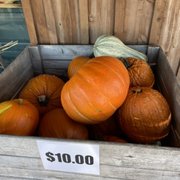 RHODES FARMER’S MARKET - 27 Photos & 11 Reviews - 12216 Columbiana ...