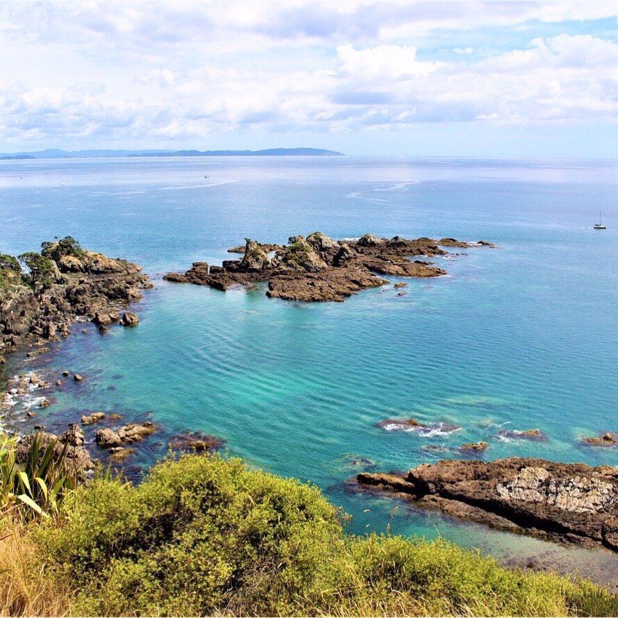 TIRITIRI MATANGI - Updated March 2024 - 12 Photos - Hauraki Gulf ...