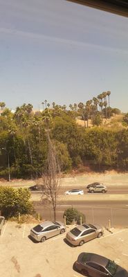 CHRISTOPHER CHU, MD - Updated January 2026 - 711 W College St, Los ...