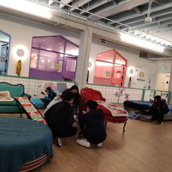 MUTTVILLE SENIOR DOG RESCUE - Updated January 2026 - 356 Photos & 172 ...