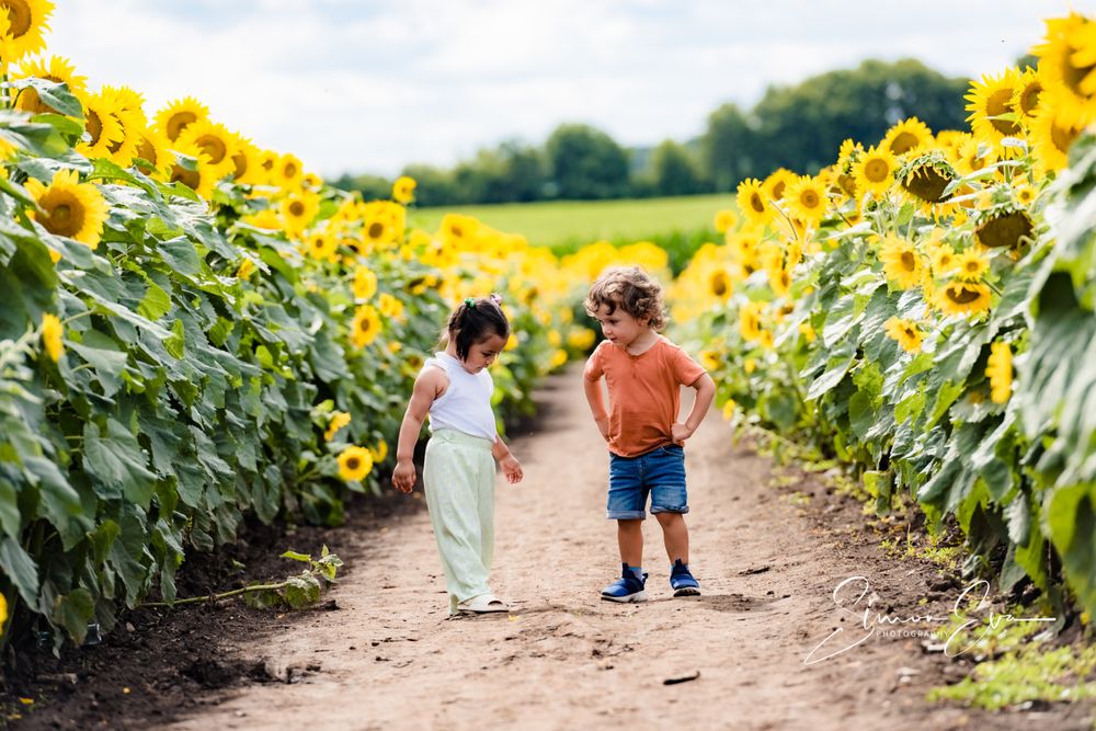 SIMON EVA PHOTOGRAPHY - Updated October 2024 - 32 Photos - Schiller ...