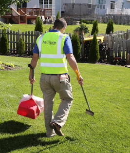 GREEN SWEEP - Updated May 2024 - Request Information - St. Peters ...