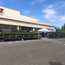 Bi-Mart Reviews | Read Customer Service Reviews of bimart.com