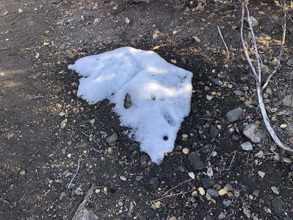 MOUNT LAWLOR VIA RED BOX - Updated February 2025 - 114 Photos - Angeles ...