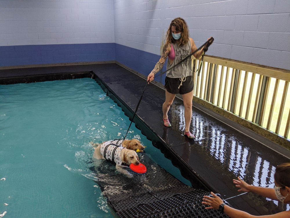 DOG PADDLE - Updated October 2025 - 10 Photos - 140 East Rawson Ave ...