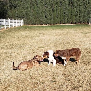 CR RANCH PET-O-TEL - Updated August 2024 - 135 Photos & 72 Reviews ...