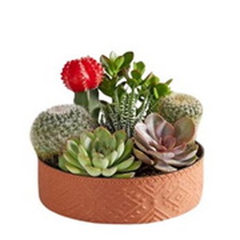 RUTH’S ROSES - Updated July 2024 - 328 Photos & 467 Reviews - 100 SE ...