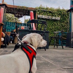 CHEZ JAY - Updated April 2025 - 449 Photos & 684 Reviews - 1657 Ocean ...