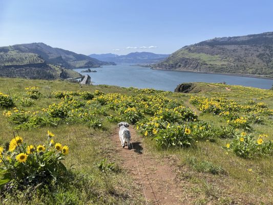 MOSIER CREEK FALLS - Updated August 2025 - 34 Photos - 207 3rd Ave ...