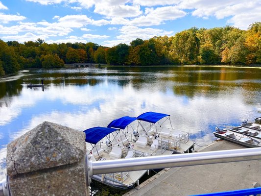 SHARON WOODS PARK - Updated December 2025 - 460 Photos & 80 Reviews ...