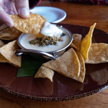 EL ALMA - 1466 Photos & 1263 Reviews - 1025 Barton Springs Rd, Austin ...