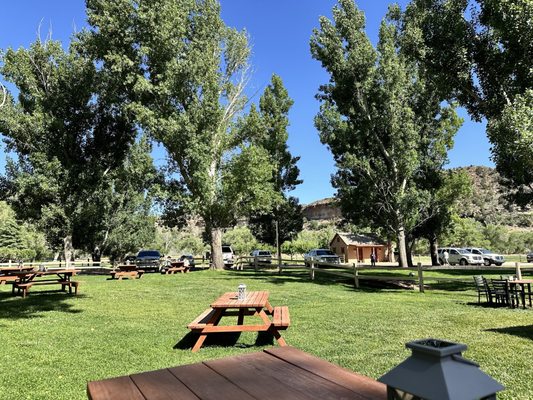 WILD THYME CAFE - Updated August 2025 - 156 Photos & 143 Reviews - 2501 ...