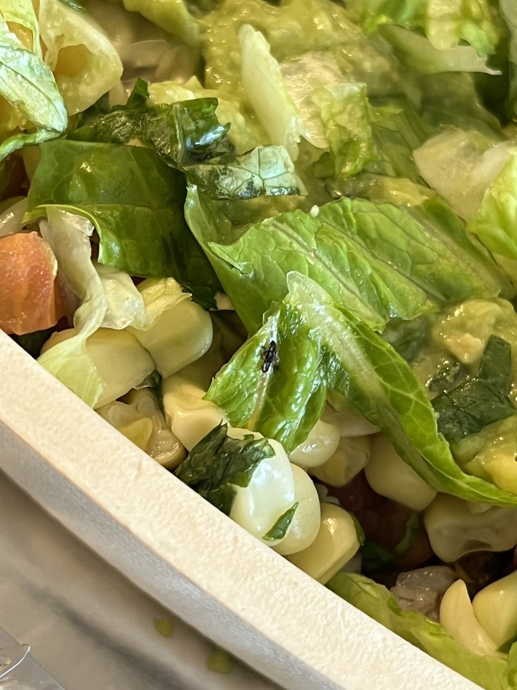 CHIPOTLE MEXICAN GRILL - Updated August 2024 - 32 Photos & 88 Reviews ...