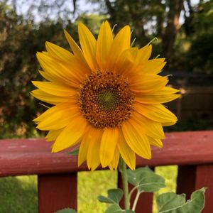 FIRST STATE COMPASSION - WILMINGTON - Updated February 2025 - 25 Photos ...