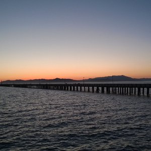 BERKELEY PIER - 141 Photos & 60 Reviews - University Ave, Berkeley ...