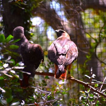 OC ZOO IRVINE REGIONAL PARK - Updated July 2025 - 107 Photos & 37 ...