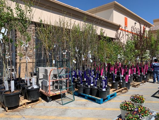 THE HOME DEPOT - Updated November 2024 - 261 Photos & 105 Reviews ...