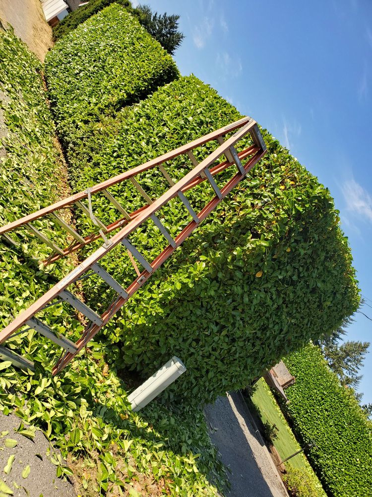 BY TRUST NATURAL LANDSCAPING - 40 Photos - Bellingham, Washington ...