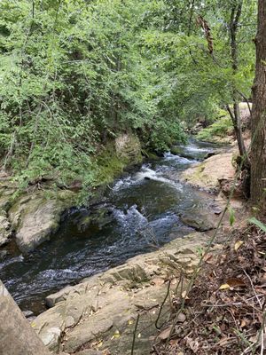 SAVANNAH RAPIDS PARK - Updated 2024 - 35 Photos - 3300 Evans To Locks ...
