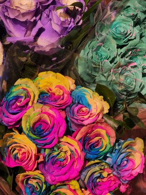 FORTINO’S - Updated December 2025 - 31 Photos & 10 Reviews - 173 ...