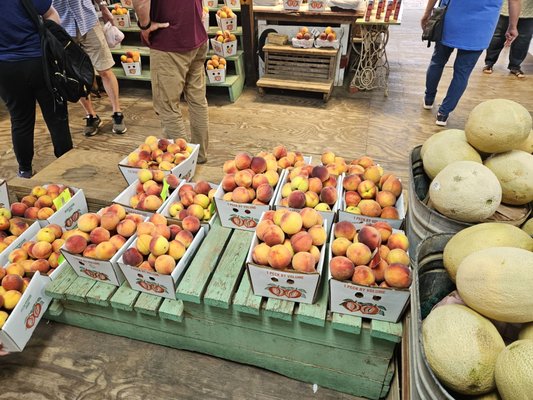 EFURD ORCHARDS - Updated December 2025 - 59 Photos & 37 Reviews - 4004 ...