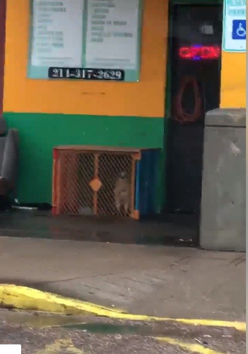 GASTON BAZAAR - Updated June 2024 - 3035 N Buckner Blvd, Dallas, Texas ...