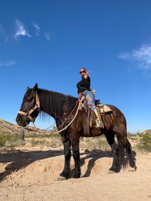 PONDEROSA STABLES - Updated May 2024 - 219 Photos & 183 Reviews - 10215 ...