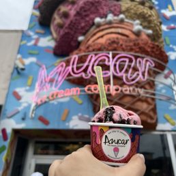 AZUCAR ICE CREAM - LITTLE HAVANA - Updated May 2026 - 2186 Photos ...