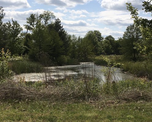 KINETIC PARK - Updated October 2025 - 13 Photos & 11 Reviews - 7801 ...