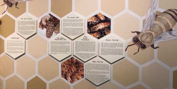 INSECTROPOLIS - Updated July 2024 - 42 Photos & 24 Reviews - 1761 Rte 9 ...