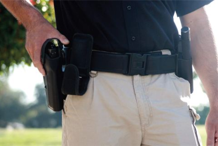 GUARDIAN PROTECTION FORCE - Updated September 2025 - 18 Photos - 11160 ...