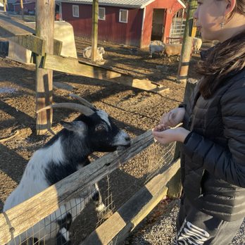 KLEIN FARMS DAIRY & CREAMERY - Updated October 2025 - 163 Photos & 111 ...