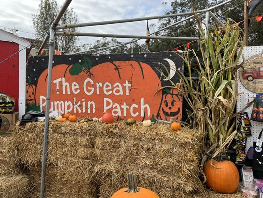 THE GREAT PUMPKIN PATCH SF AND EMERALD FOREST CHRISTMAS TREES - Updated October 2024 - 90 Photos ...