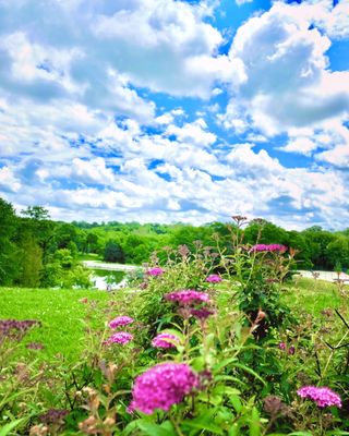 EDGAR M. QUEENY COUNTY PARK - Updated June 2025 - 207 Photos & 30 ...