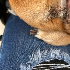 HIGH DESERT ANIMAL CARE HOSPITAL - Updated June 2025 - 47 Photos & 200 ...