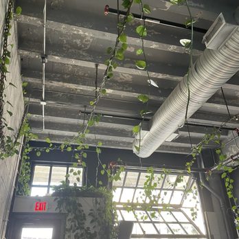 COTTON & REED - Updated May 2025 - 474 Photos & 222 Reviews - 1330 5th ...