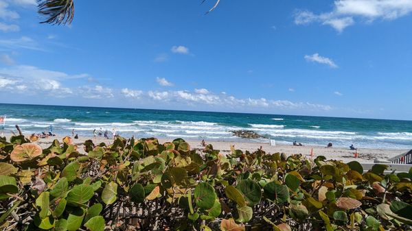 RED REEF PARK - 97 Photos & 49 Reviews - 1400 N Ocean Blvd, Boca Raton ...