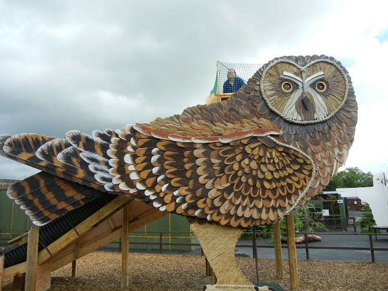 SCOTTISH OWL CENTRE - Updated October 2024 - Polkemmet Country Park ...