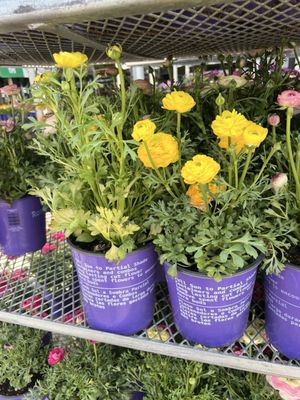 MENARDS - Updated December 2025 - 13 Photos & 11 Reviews - 5150 Highway ...