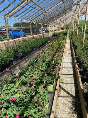 TREES AND PLANTS NURSERY AND GARDEN CENTER - Updated October 2025 - 2213 Mooresville Rd ...