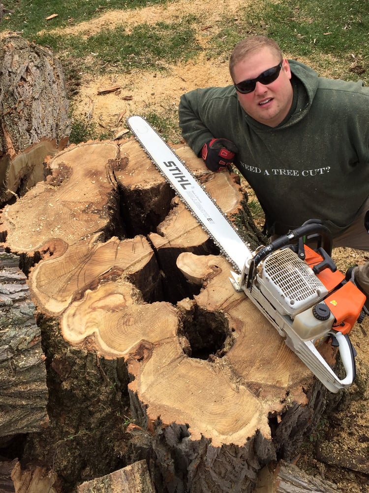 TOP NOTCH TREE CARE - Updated December 2025 - 20 Photos - 2269 Tingley ...