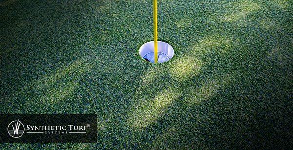 SYNTHETIC TURF SYSTEMS - Updated June 2026 - 68 Photos - 221 E Willis ...