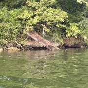 YARBERRY CAMPGROUND - 33 Photos & 12 Reviews - 4825 Yarberry Rd, Lenoir ...